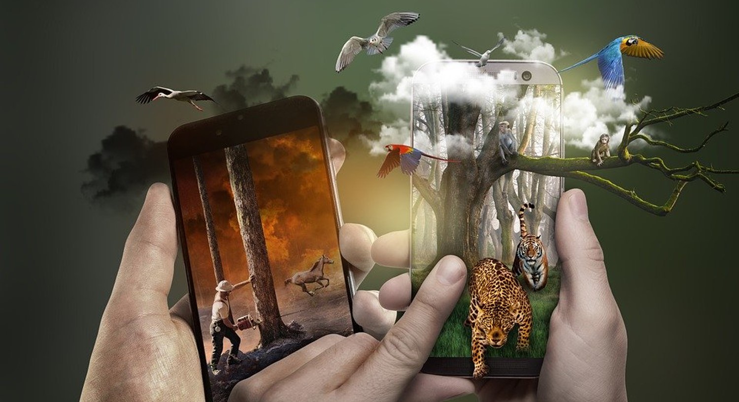 Internet : l’énorme pollution qu’on ne voit pas - POUR.press